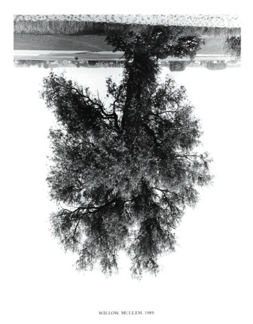 Flanders Trees by Rodney Graham on artnet