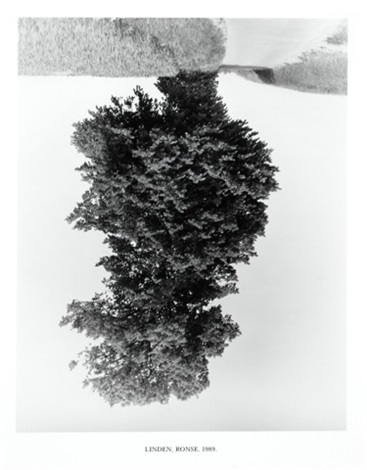 Flanders Trees by Rodney Graham on artnet