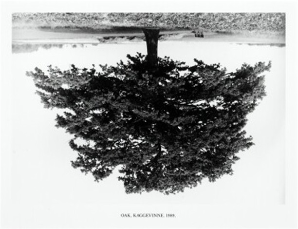 Flanders Trees by Rodney Graham on artnet