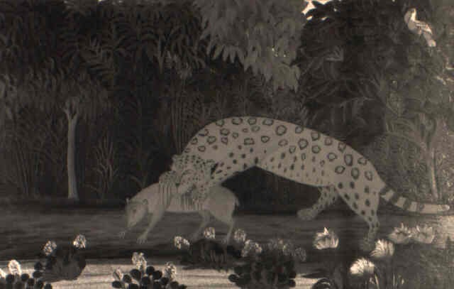 Tiger in the jungle by Noe Leon on artnet