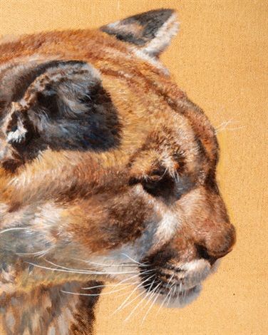 Mountain Lion by John Seerey-Lester on artnet