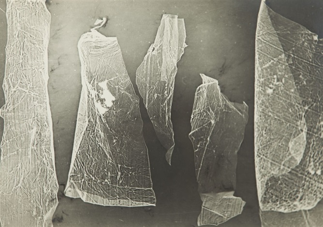 Composition 5 by Marek Piasecki on artnet