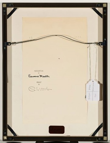 Shell, 1927 by Edward Weston on artnet