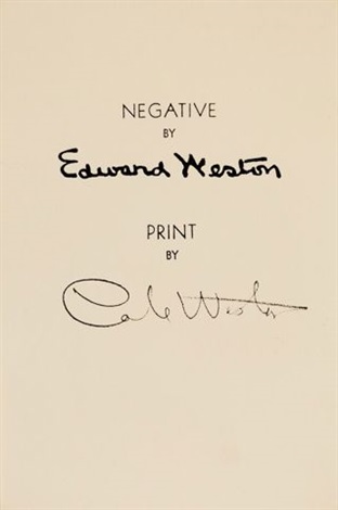 Shell, 1927 by Edward Weston on artnet