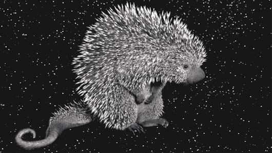Porcupine Voom portraits by Robert Wilson on artnet