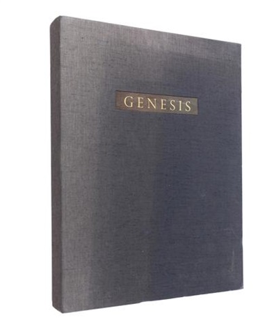 The First Book of Moses Called Genesis by Jacob Lawrence on artnet