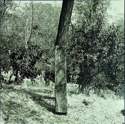 Tree with plank, I by Bill (William F.) Culbert on artnet