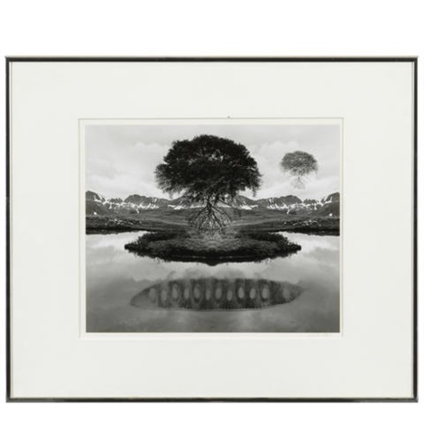 Untitled Floating Tree by Jerry Uelsmann on artnet