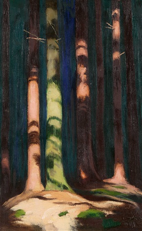 Sonnenlicht auf Fichten Wald by Hans Emmenegger on artnet
