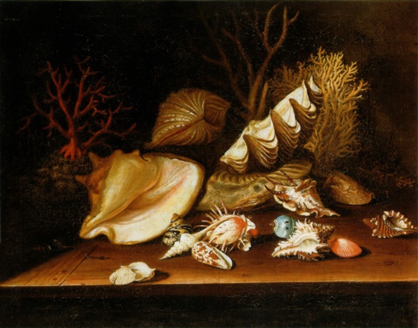 A STILL LIFE WITH SHELLS AND CORAL by Jacques Linard on artnet