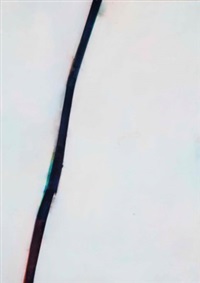 Edward Corbett | Artnet