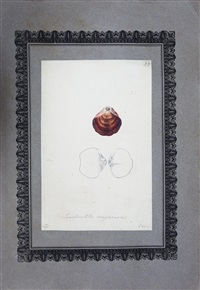 Frederick Nodder and Richard Nodder | Artnet