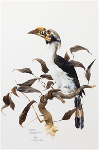 Raymond Harris Ching | Artnet