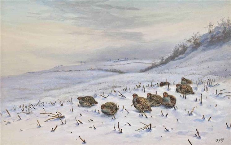 Partridge by George Edward Lodge on artnet
