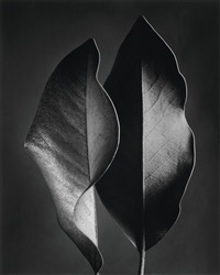 Ruth Bernhard | Artnet | Page 10