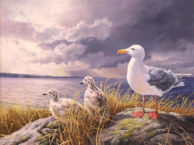 GLAUCOUS-WINGED GULL by Marla Wilson on artnet