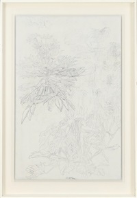 Sam Szafran | Artnet