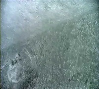 Guido Caprotti | Artnet