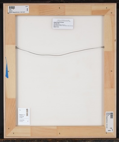 Lisa Lyon by Robert Mapplethorpe on artnet