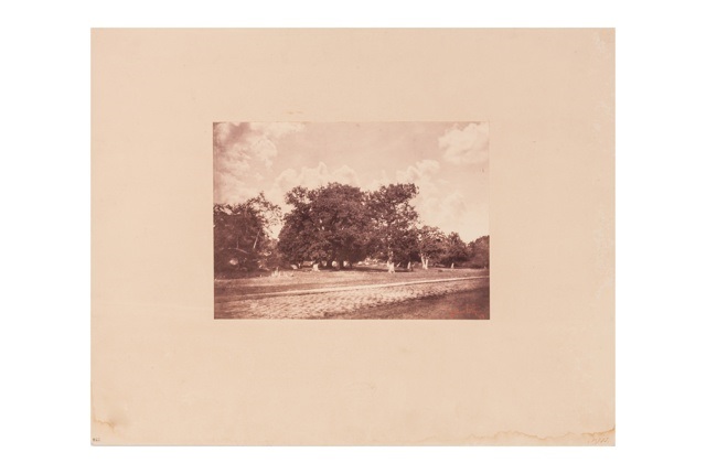 VUE DE LA FORET DE FONTAINEBLEAU, PAVE DE CHAILLY by Gustave Le Gray on ...