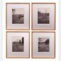 Jan Groover | Artnet