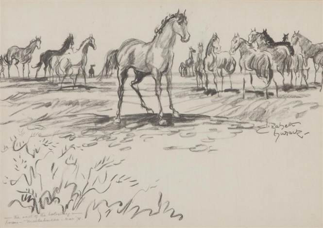 END OF THE DAY MOOLA BULLA by Elizabeth Durack on artnet