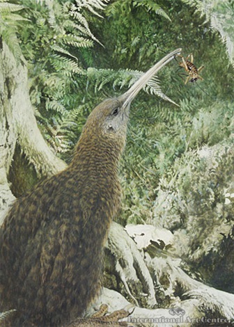 Kiwi and weta by Raymond Harris Ching on artnet