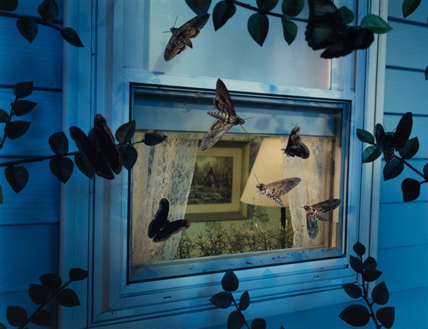 Untitled Insect Window by Gregory Crewdson on artnet