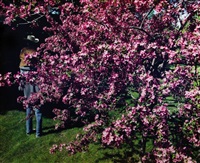 Anna Gaskell | Artnet