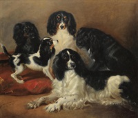 Daniel MacDonald | Artnet