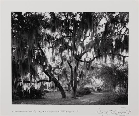 The Eatonville Portfolio by Dawoud Bey, Lonnie Graham, Carrie Mae Weems ...