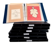 Francesco Bozzo | Artnet