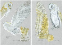 Philip Blythe | Artnet