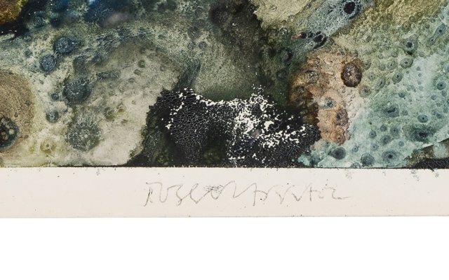 Watercolor 5 by Joseph Raffael on artnet