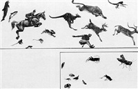 Rudolph Freund | Artnet