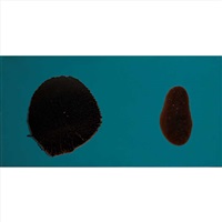 Nicholas May | Artnet