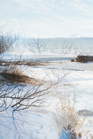 Double Image-Dunes in Winter by Ian Hornak on artnet