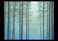 Forest by Munehiro Nakamura on artnet