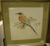 Peter Hayman | Artnet