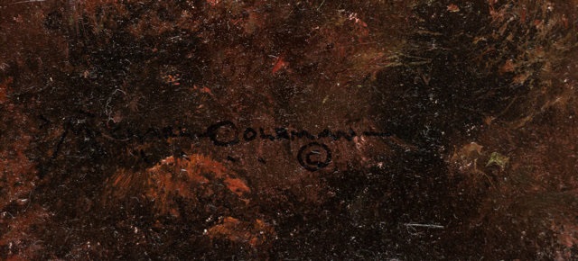 Native Reflections by Michael B. Coleman on artnet