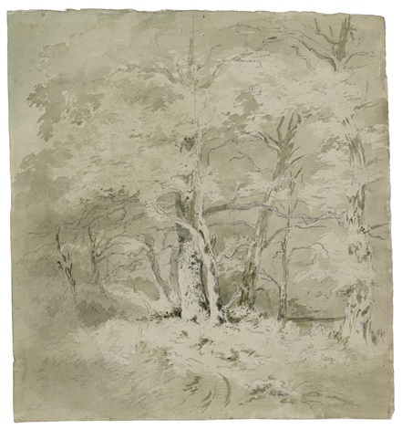 Study of trees by John Constable on artnet