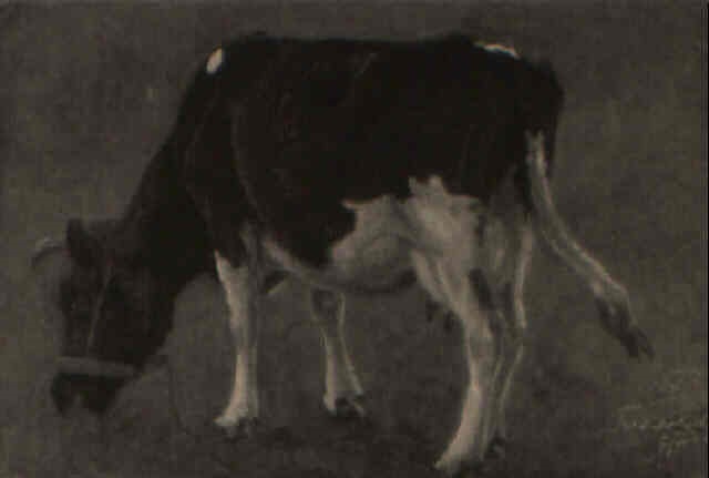 Study of a cow grazing by Otto Bache on artnet