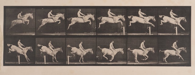 Leaping Horse and Rider, Plate 643 from Animal Locomotion by Eadweard ...