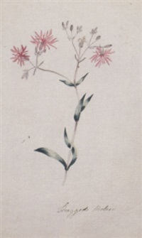 Mary Caroline Henrietta Hibbert | Artnet