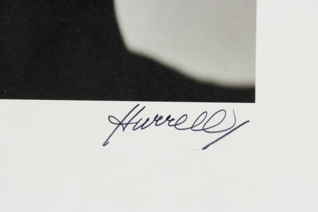 Portrait of Robert Taylor by George Hurrell on artnet