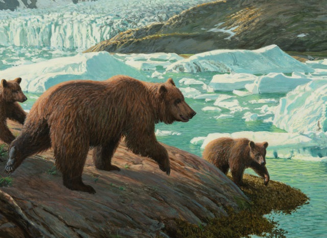 Glacier Bay Bears by John Pitcher on artnet