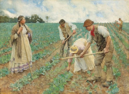 Hoeing Turnips by Sir George Clausen on artnet