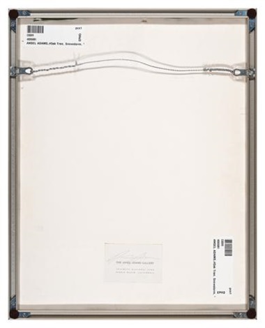 Winter, Yosemite Valley Oak Tree, Snowstorm by Ansel Adams on artnet