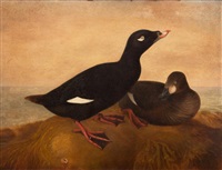 Isaac Sprague | Artnet