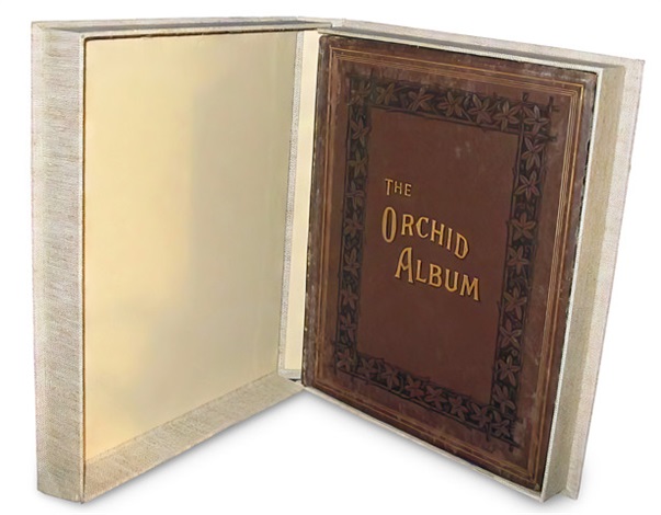 The Orchid Album by John Nugent Fitch on artnet